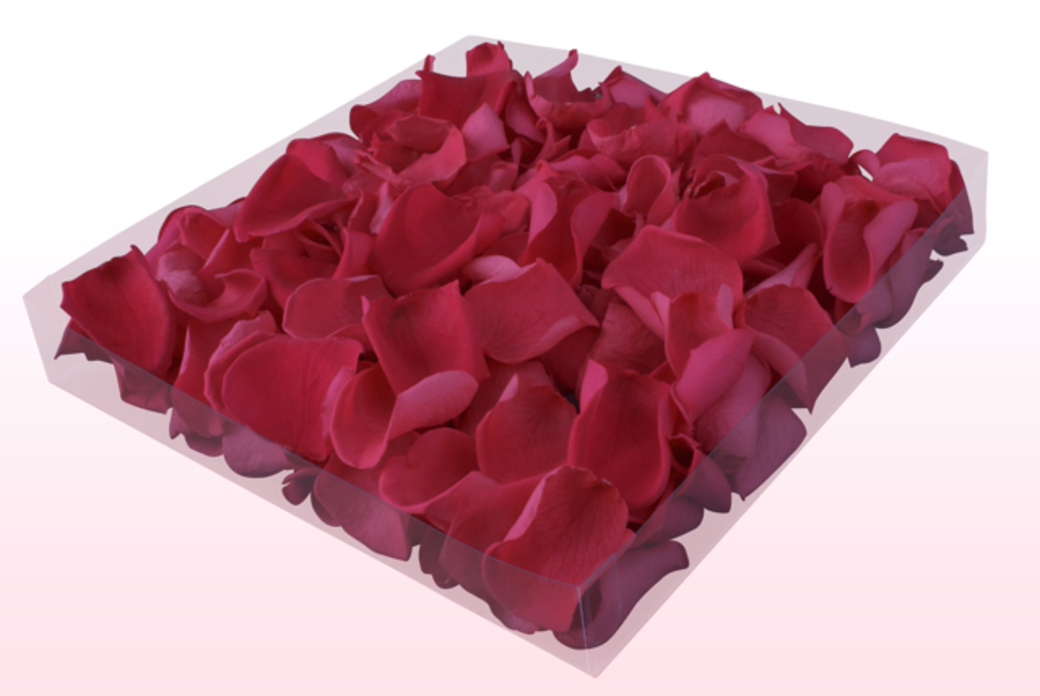 Preserved Rose Petals Fuchsia preserved-rose-petals-fuchsia